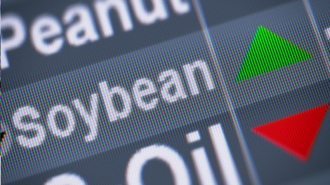 Flohsamen: Lieferverzögerungen erwartet - Mundus Agri